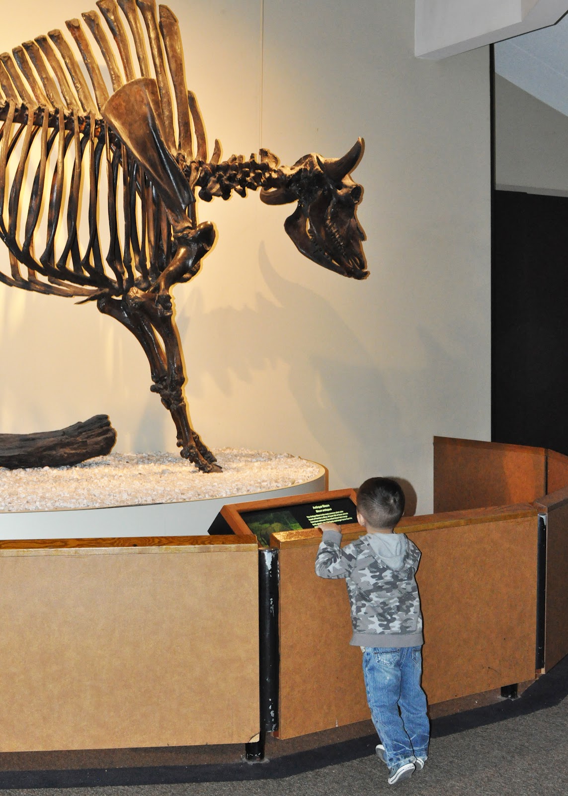 Quaintly Garcia: Page Museum at the La Brea Tar Pits