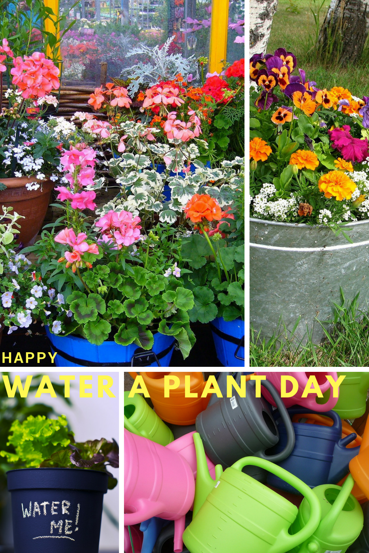 Unique and Beautiful Watering Options for your Gardens