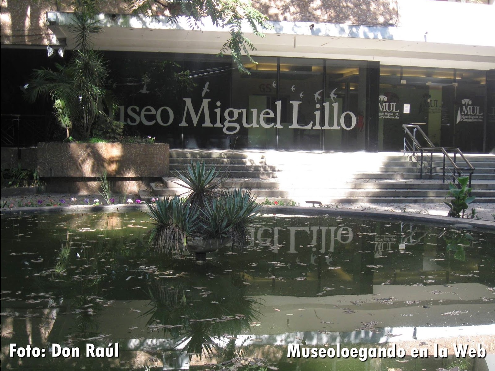 El rincón de Don Raúl: Museo Miguel Lillo de Ciencias Naturales, San ...
