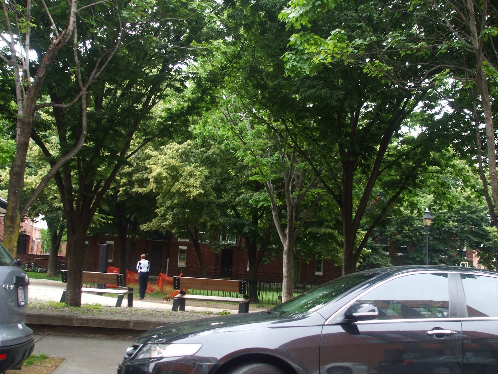 Baltimore City's Past Present and Future: Perkins Homes Redevelopment ...