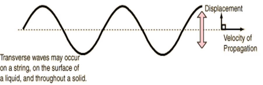 OndeSonore: Introduzione all'acustica/ 1