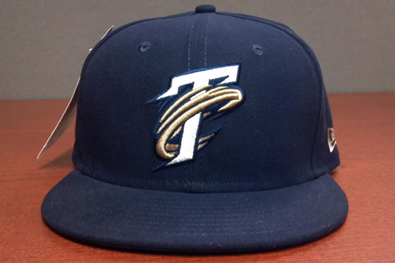 Firebrand Sports Logos Blog: The Tri-City Dust Devils logo.