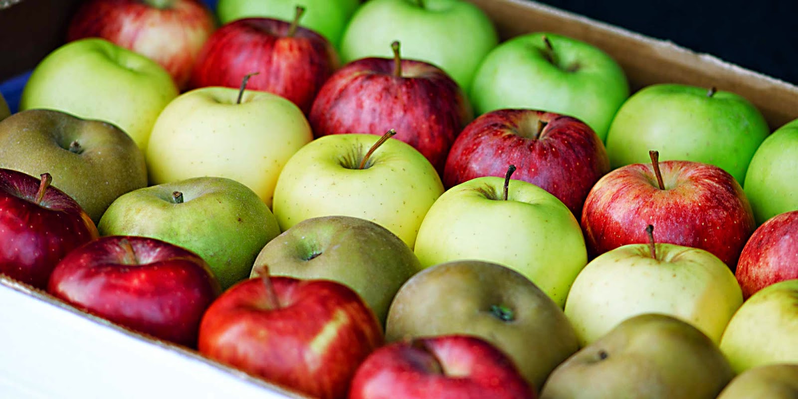 Voltando a Essência: Alimentação Saudável - Maça