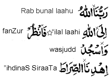 Learn Tajweed and Quraan Free: Example Of Step 8 Tashdeed