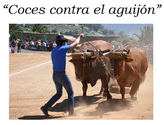 El blog de Marco Peña: Coces contra el aguijón