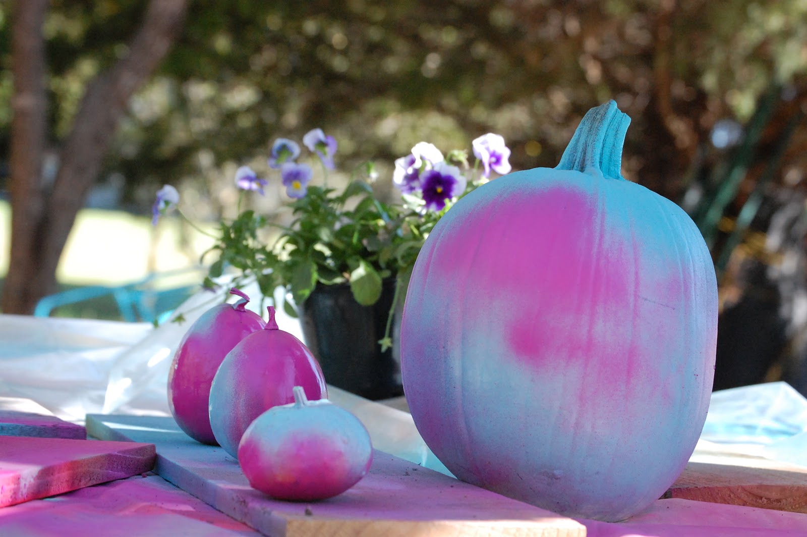 Taffy Colored Pumpkins - At Home with Jemma