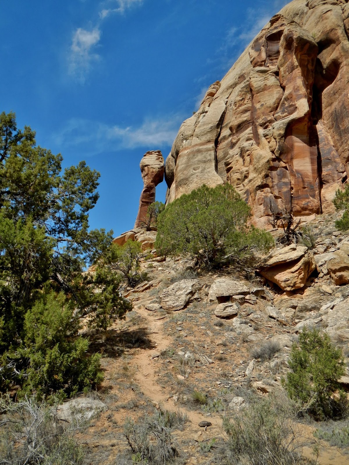 The Southwest Through Wide Brown Eyes: Hiking Around Shay Canyon - Part One