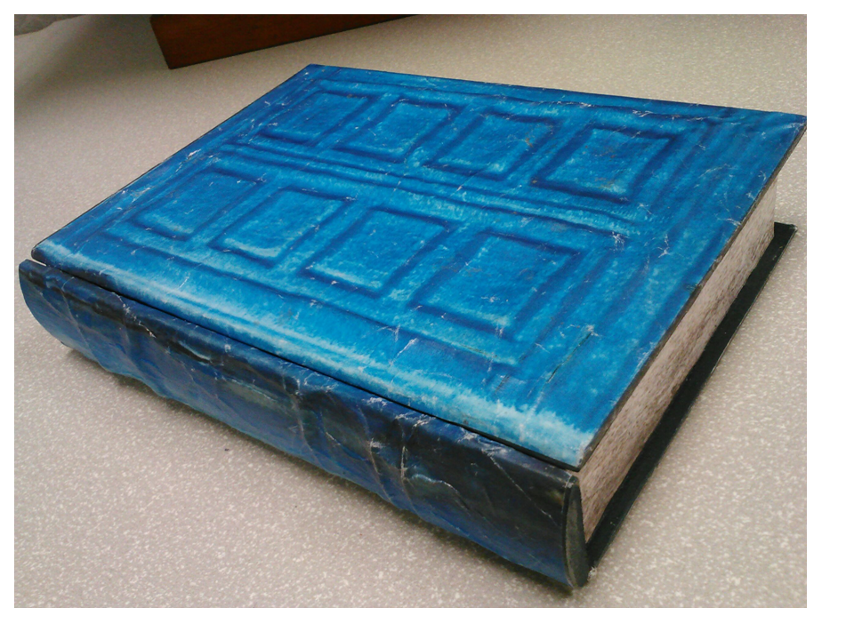 Mrs Ohtobe: River's Diary