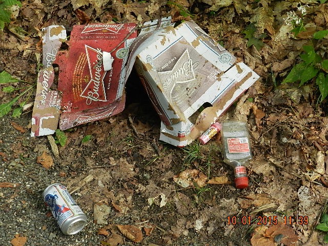 Friends of Buckland State Forest, MA (US): 2015