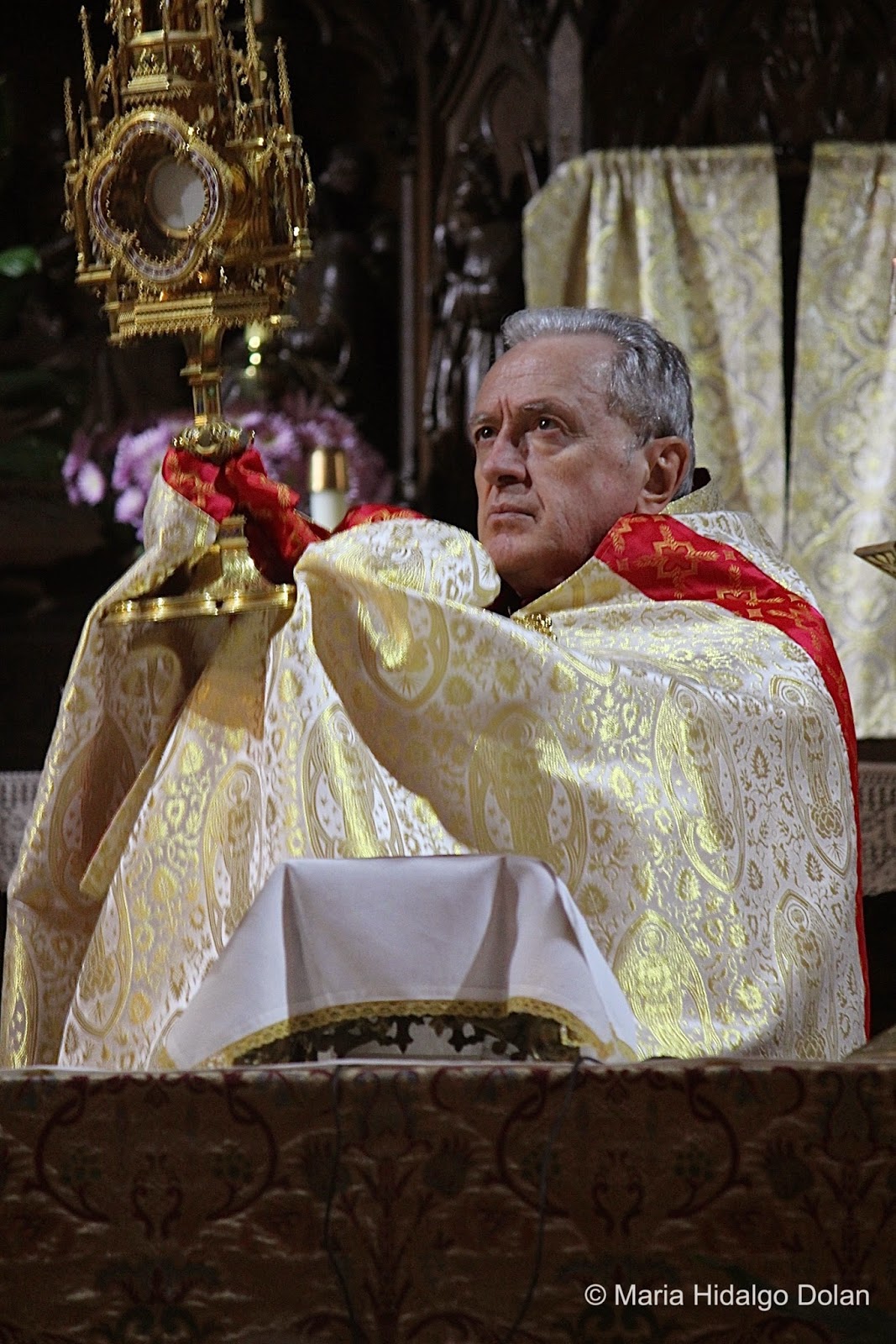 My Catholic World as seen thru My Camera: 11.28.14 Most Rev. Giovanni ...