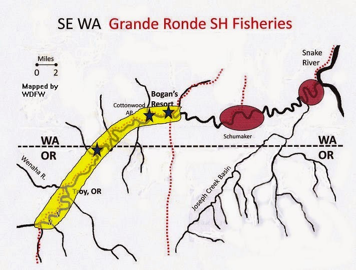 Walla² Fly Fishers: Steelhead fishing the Grande Ronde River