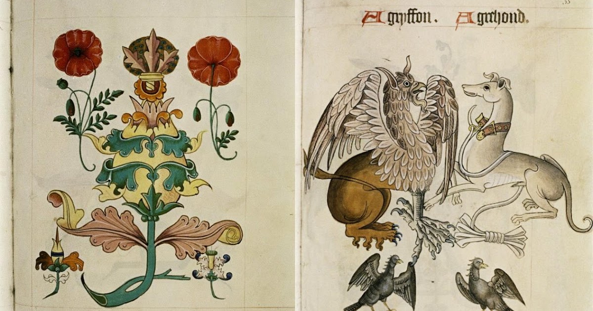 Anonymous:The Tudor pattern book (1520)