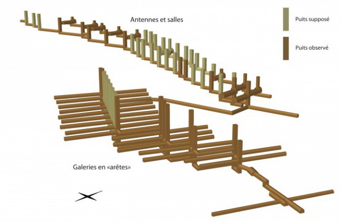 HOME & GARDEN: Les arêtes de poissons : le mystère des galeries ...