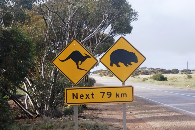 Gallivantour: The Great Australian Bite