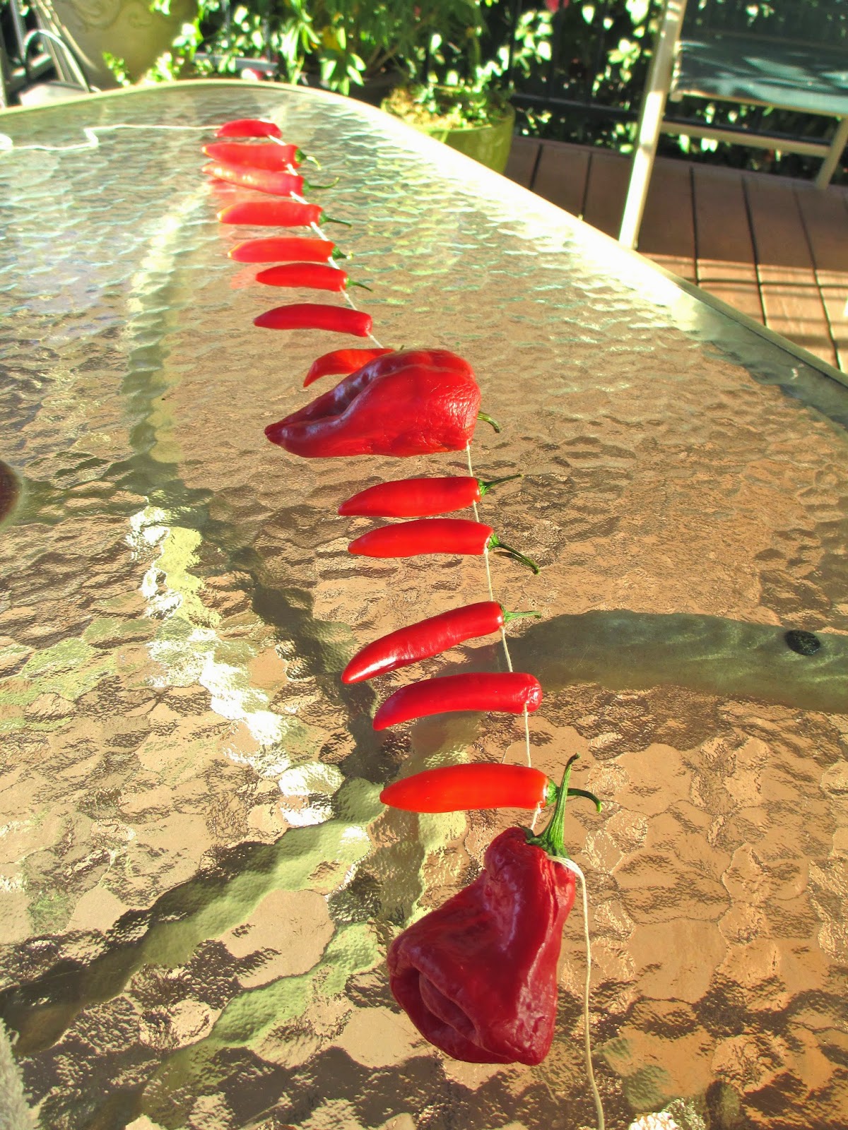 Andie's Way: Chili Garland - A Pretty Way to Dry Your Chiles