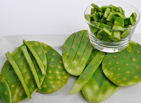 Le Cerveau de l'Enfant et de l'Adolescent: Le Cactus – Propriétés et ...