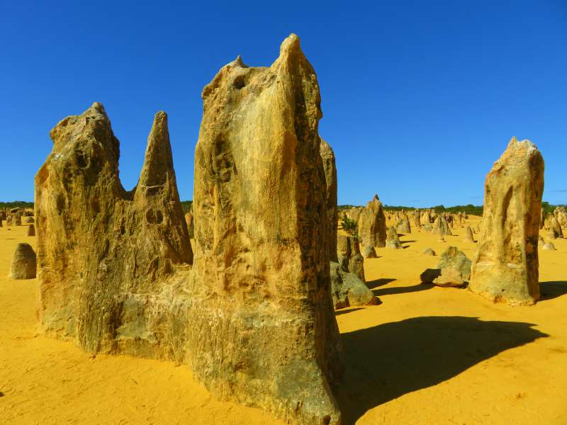 The Travelling Lindfields: Pinnacles and Stromatolites: Ancient ...