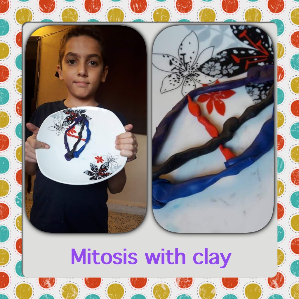 Makassed KSPS: Modeling Mitosis