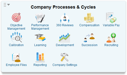 SAP SuccessFactors Training: SAP SuccessFactors Performance Management ...