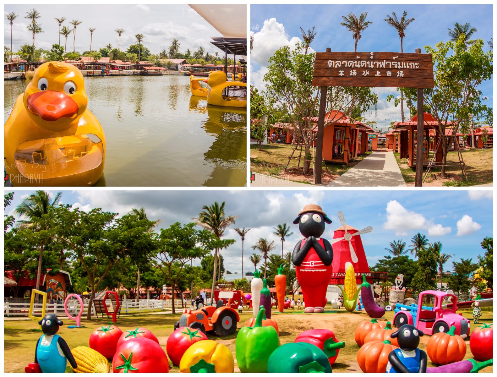 ตลาดน้ำฟาร์มแกะพัทยา ( Water Market at Pattaya Sheep Farm) - ที่เที่ยวบล็อก