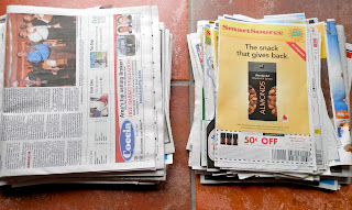 The Bare Mother Earth: DIY Cat Litter