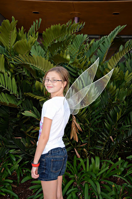 Theresa's Mixed Nuts: Disney's Magic Shots