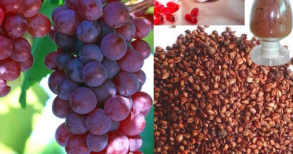 Usana products : GRAPE SEEDS EXTRACT: COVERED SCIENTIFIC STUDIES :THIS ...