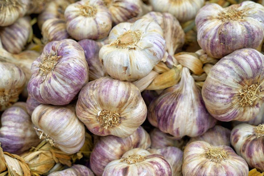 QuLifeNATURAL: CZOSNEK POSPOLITY - NATURALNY ANTYBIOTYK I JEGO ... QuLifeNATURAL: CZOSNEK POSPOLITY - NATURALNY ANTYBIOTYK I JEGO ...
