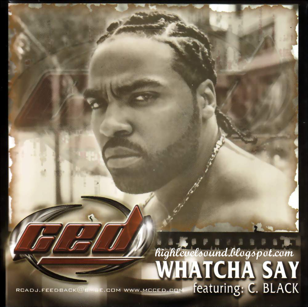 highest level of music: CED - Whatcha Say-(Promo_CDM)-2000-hlm