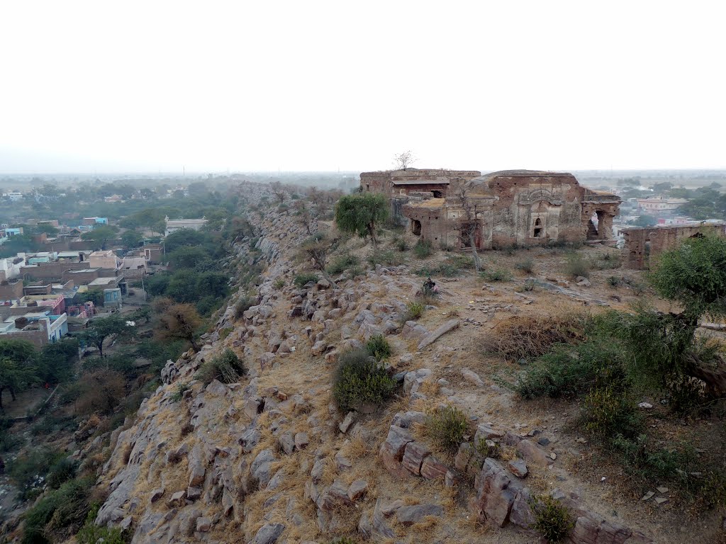 Discovering Mughal, Rajput & Mauryan History: Farman of Mughal Emperor ...