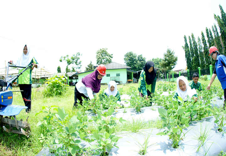 AGRIBISNIS TANAMAN PANGAN DAN HORTIKULTURA - SMKN 1 KADEMANGAN