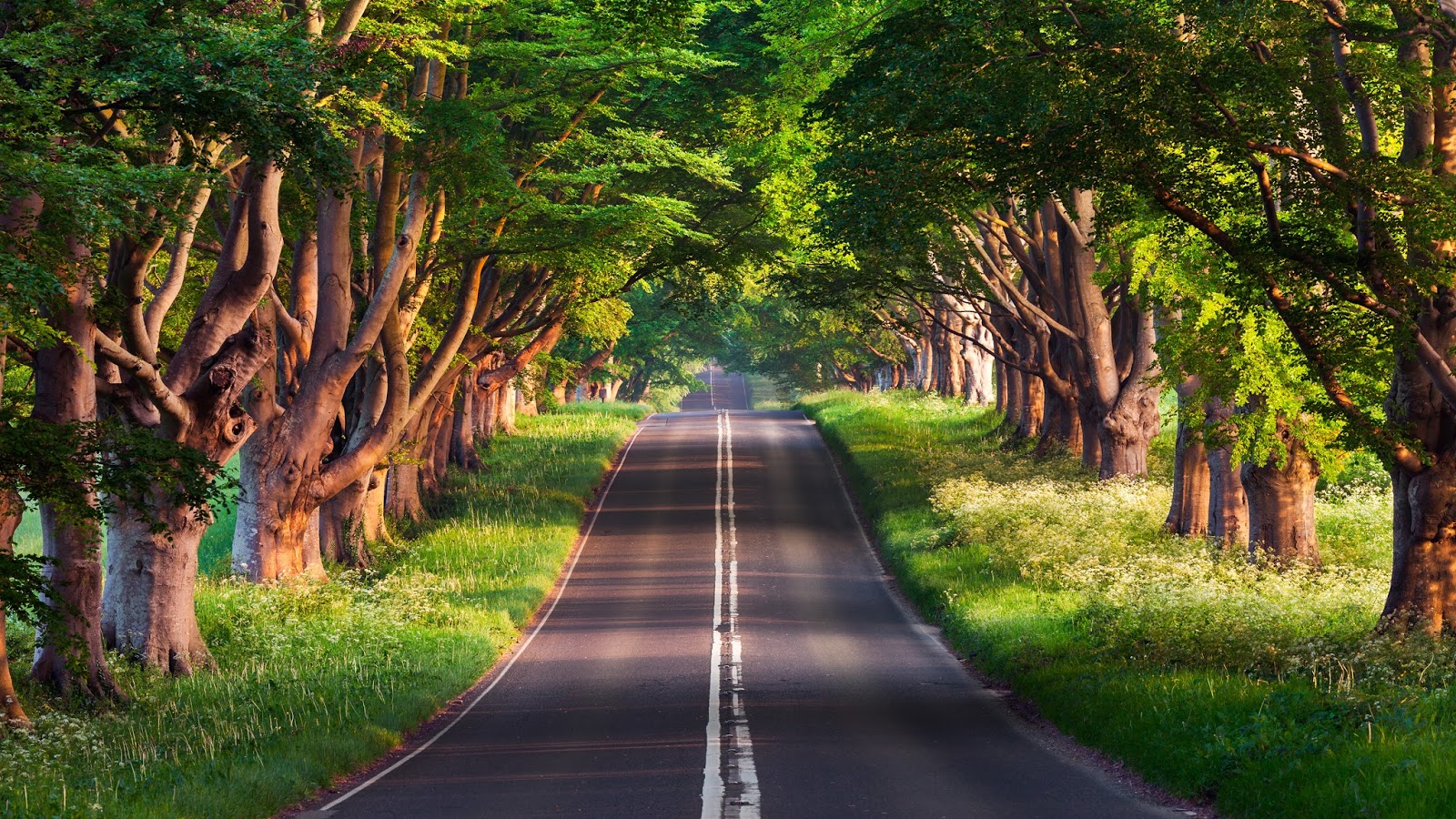 Carretera Feliz 4K 4K Wallpaper Carretera Feliz 4K 4K Wallpaper