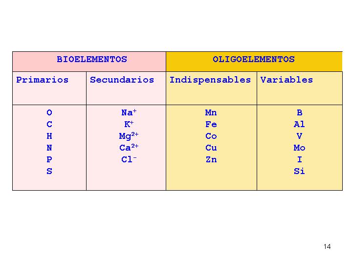 2do secundaria-Bioelementos y Niveles de organizacion de la materia viva: 2017