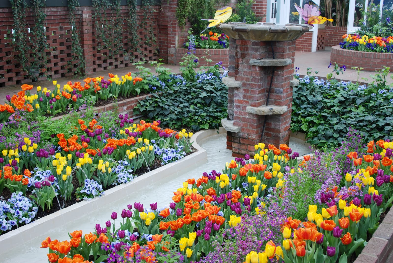 Wife, Mother, Gardener: Vivid Colors at Phipps Conservatory Spring Show