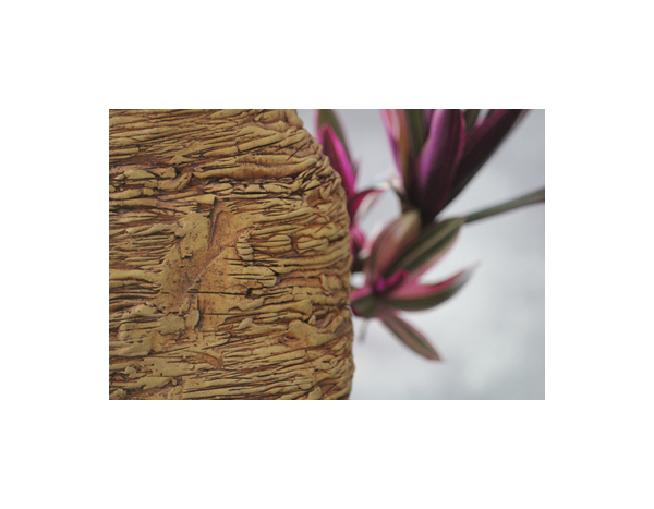 The Ridou Report: Slab Built Ceramic Bottle