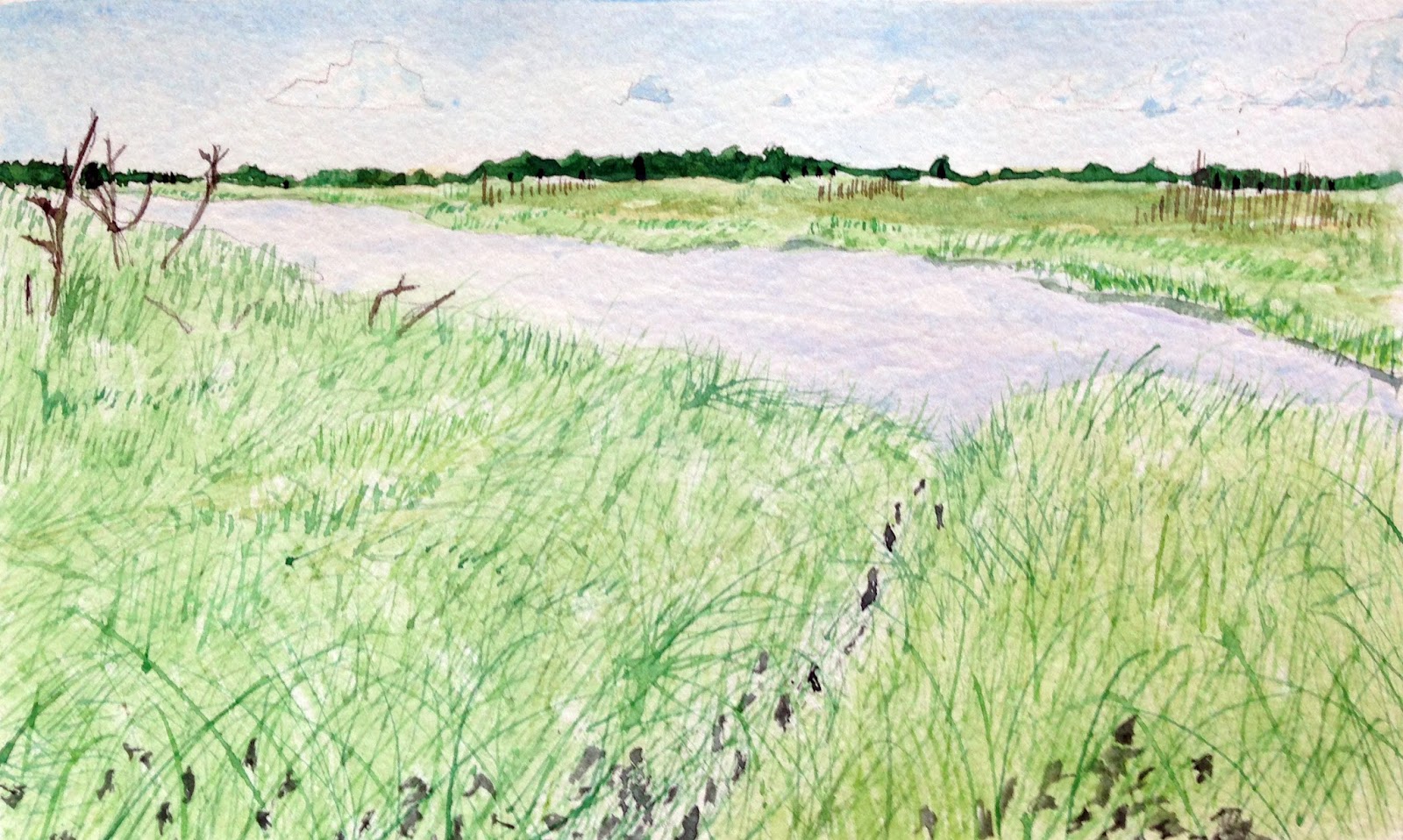 Pescadotes: marsh sketchbook