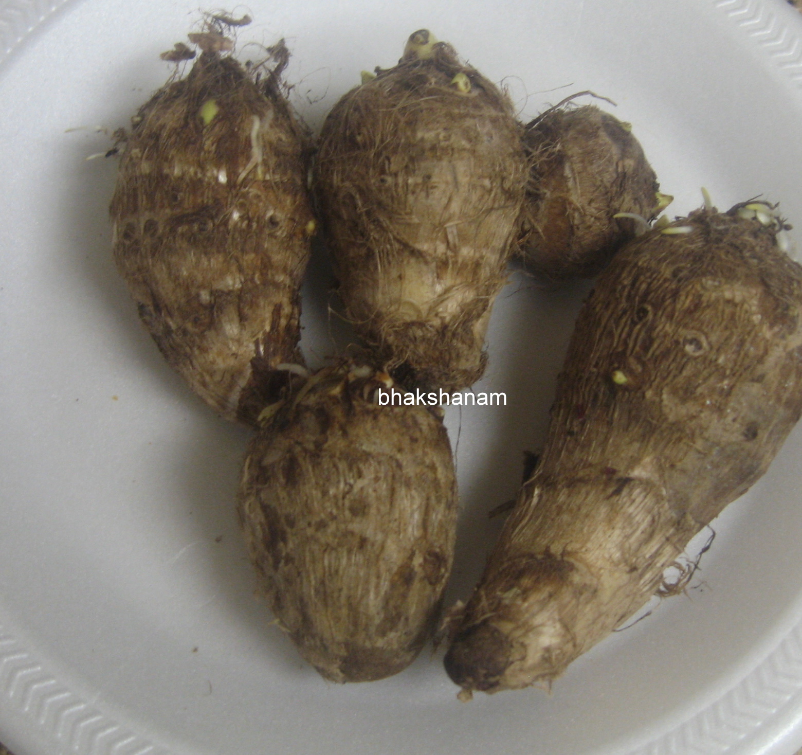 Food - The Ultimate Source of Energy: Chembu Asthram / Taro root curry