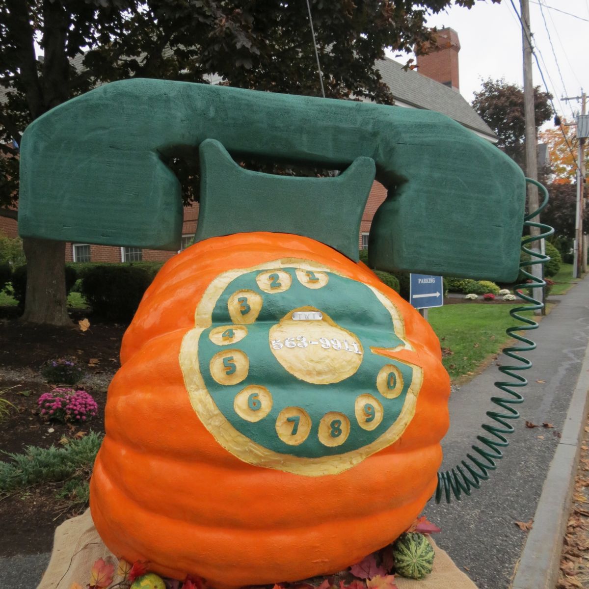 Sharon Lovejoy: New England Autumn