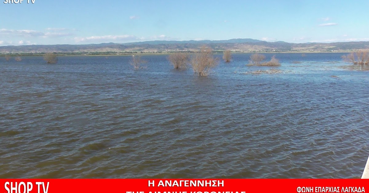 Η ΦΩΝΗ ΤΗΣ ΕΠΑΡΧΙΑΣ ΛΑΓΚΑΔΑ: H ΟΡΝΙΘΟΛΟΓΙΚΗ ΕΤΑΙΡΙΑ ΣΤΗ ΛΙΜΝΗ ΚΟΡΩΝΕΙΑ ...