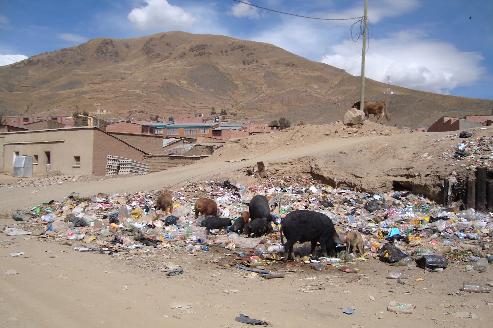 John and Christine's Adventures: District Conference in Llallagua Bolivia