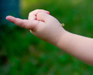 The World According to Evie: Eidem Homestead