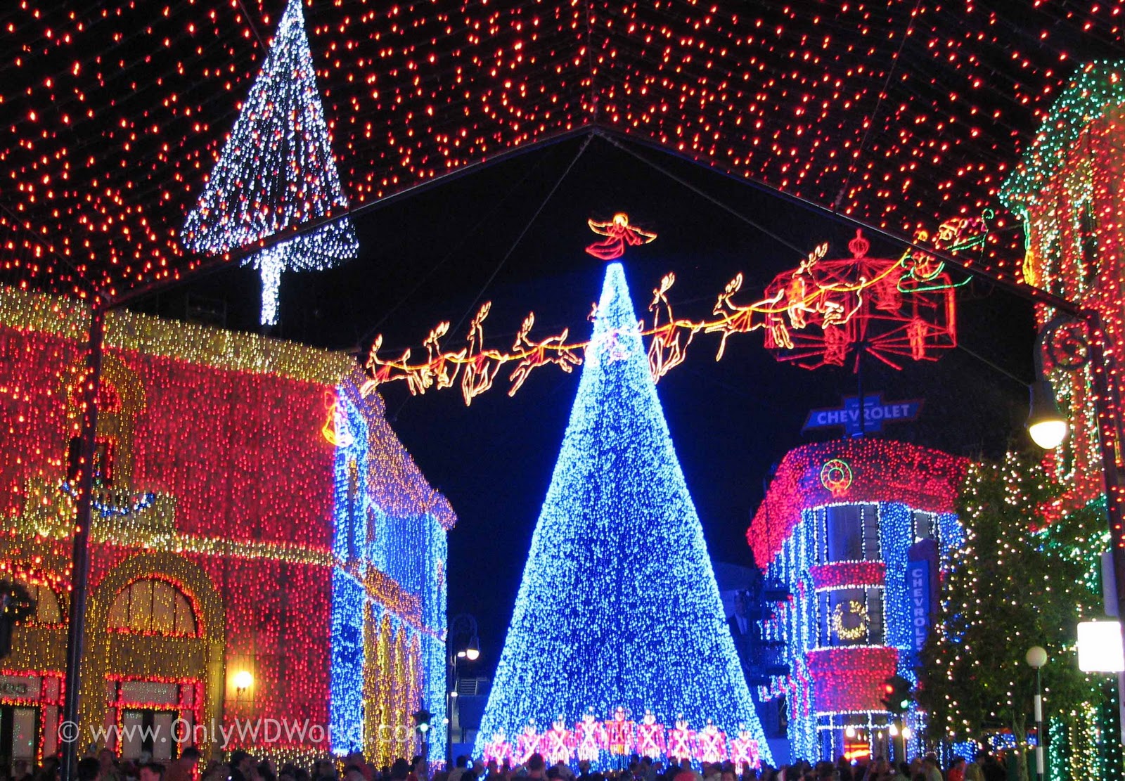 Tips For Your Disney World Holiday Vacation Disney World Blog tips-for-your-disney-world-holiday-vacation-disney-world-blog