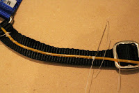 Maker Quest: EL Wire Light Up Dog Harness