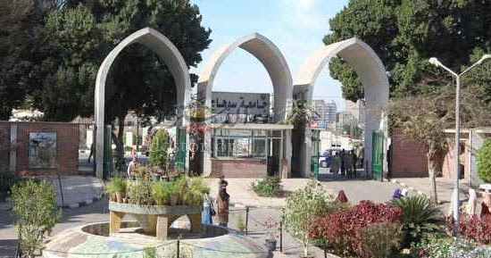 Conference at Sohag University - Bright - برايت