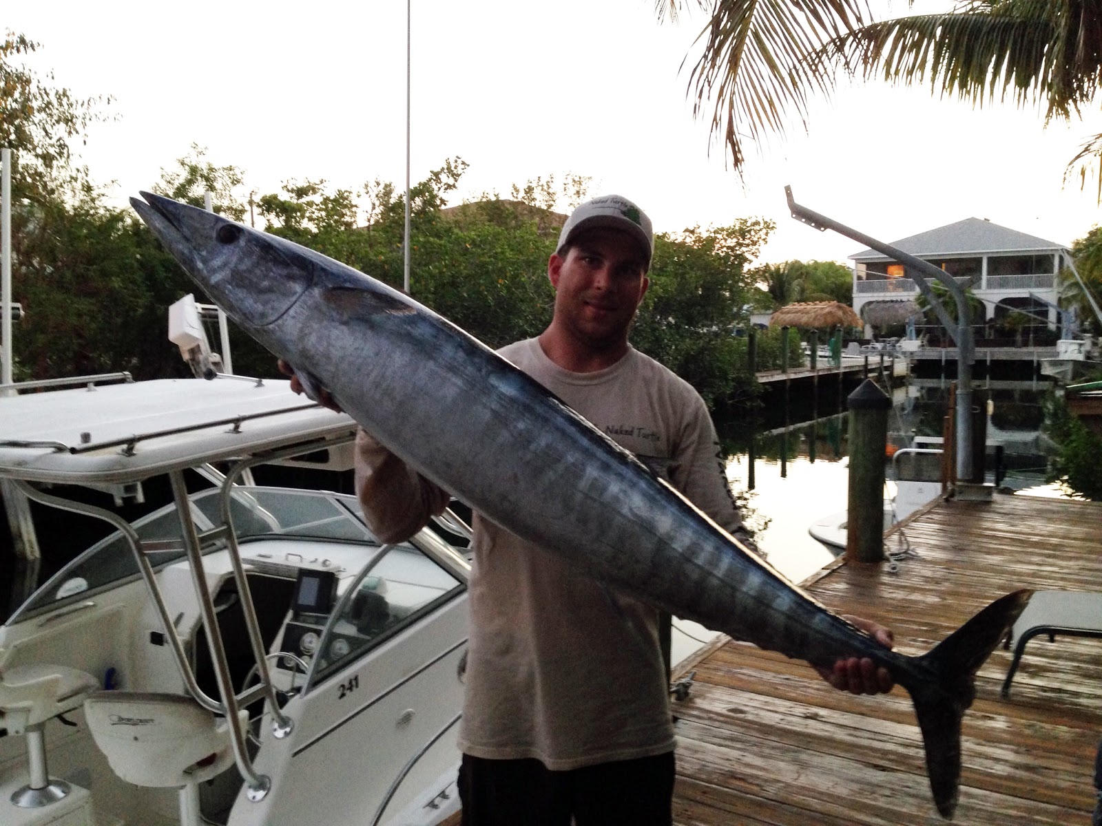 Naked Turtle: 50 lb wahoo in the Keys...Congrats Nick!