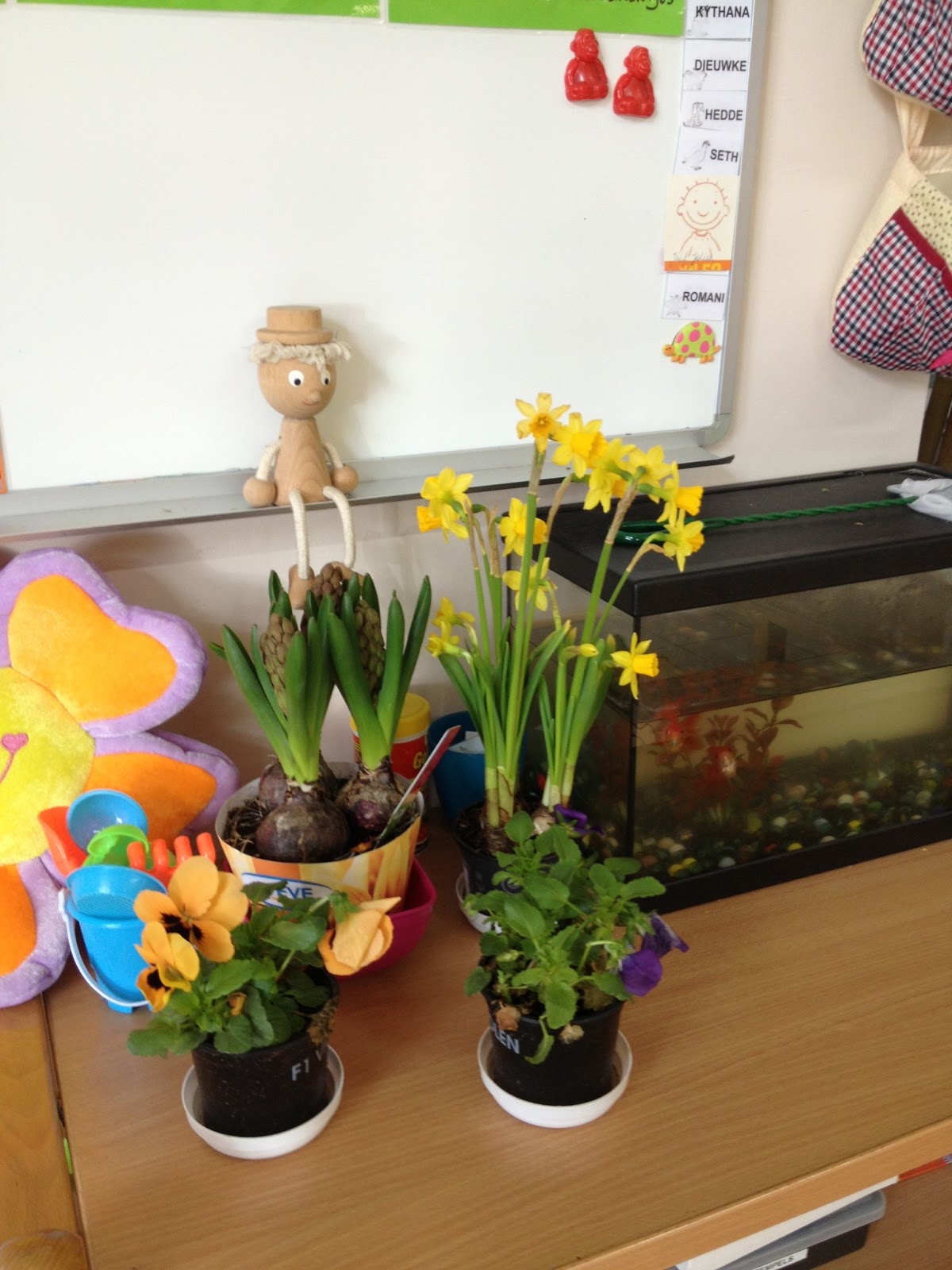 Welkom in de uiltjesklas! : Thema: "Lente en zaaien!"