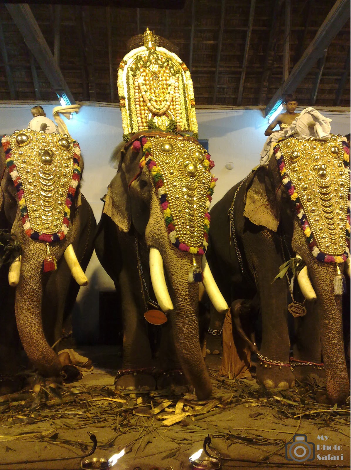 NettiPattam - Elephant Caparison