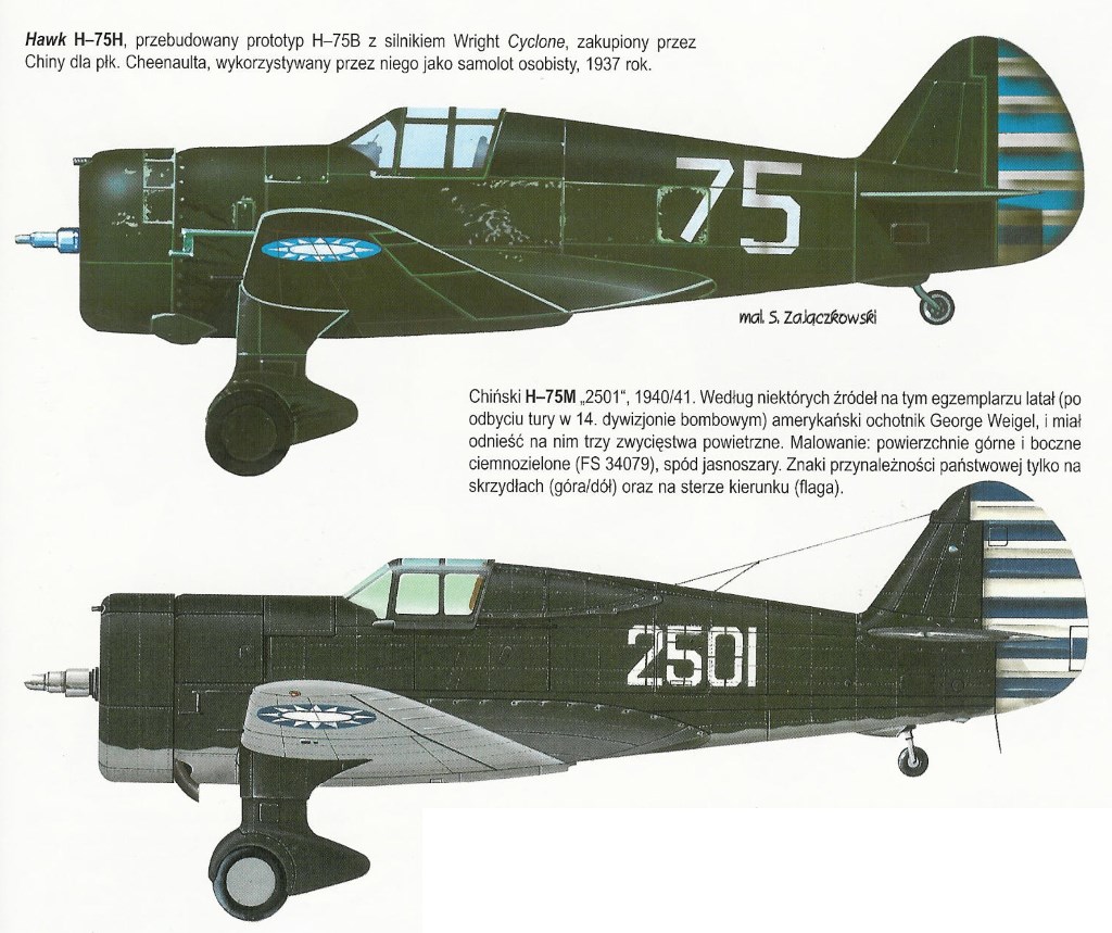 Minor Nations Militaries 1914-45: Curtiss P-36 Hawk in Minor Air Forces