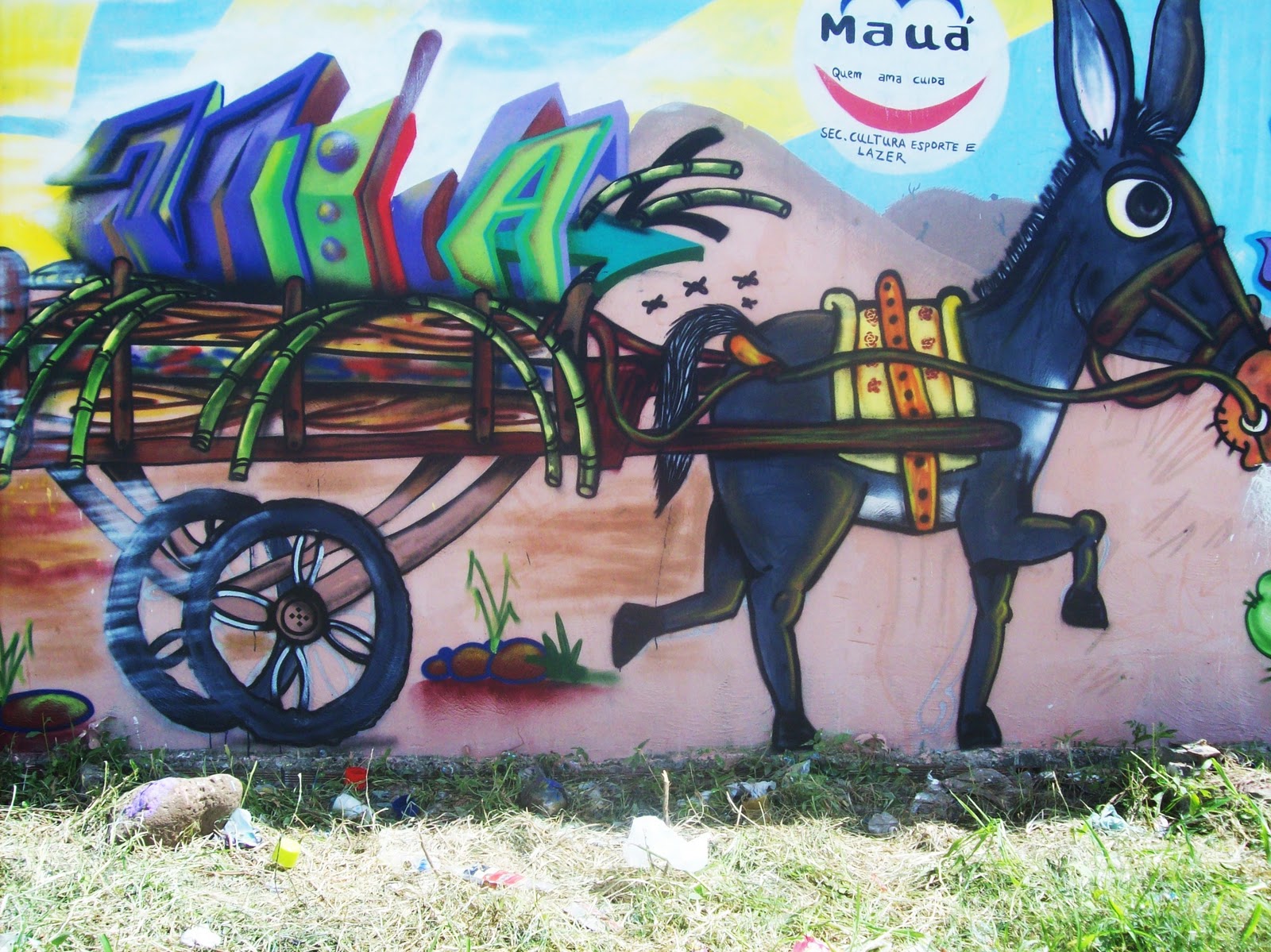 UMA VOZ NO INVISÍVEL.: Entrevista com o Boné Graffiti