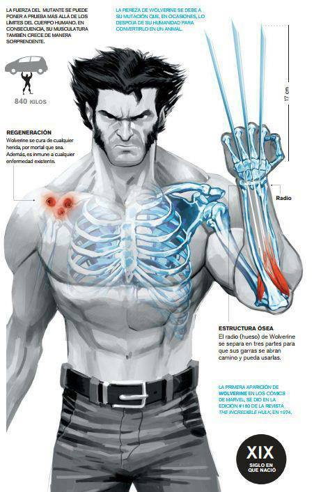 plus-ultra comics: LOBEZNO VOL 0-ESPAÑOL